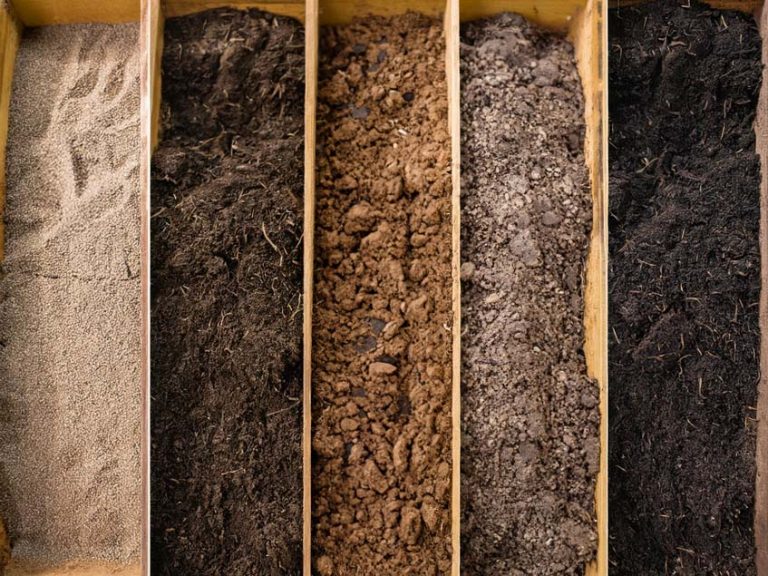 Talajjavítás - Kertlap Kertészeti Magazin & Kertészeti Tanfolyamok